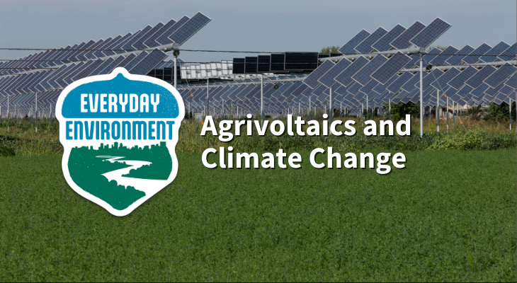 Exploring the Potential of Agrivoltaics | Everyday Environment ... Exploring the Potential of Agrivoltaics | Everyday Environment ...